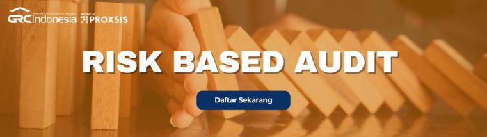 Apa Itu Risk Based Audit? Pengertian, Ruang Lingkup dan Metodologinya ...